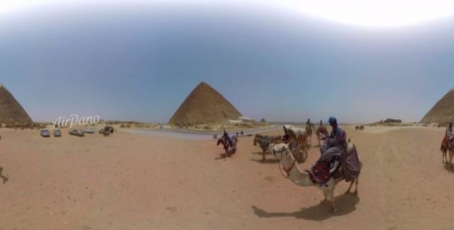 აქლემები - პალიტრა ვიდეო